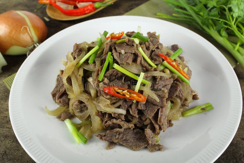 Stir fried beef with onion stock image. Image of pepper - 84391039