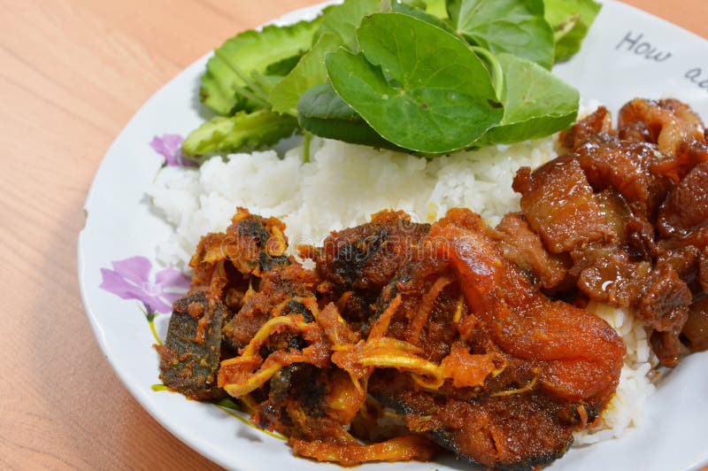 Stir Fried Cat Fish with Chilli Paste and Sweet Pork Stock Image ...