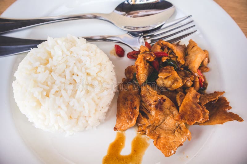 Stir Fried Chicken with Basil and Rice on a White Plate Stock Image ...