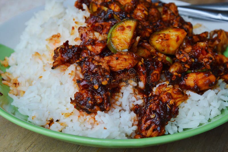 Stir-fried Chicken with Eggplant in Spicy Chili Paste on Rice Stock ...