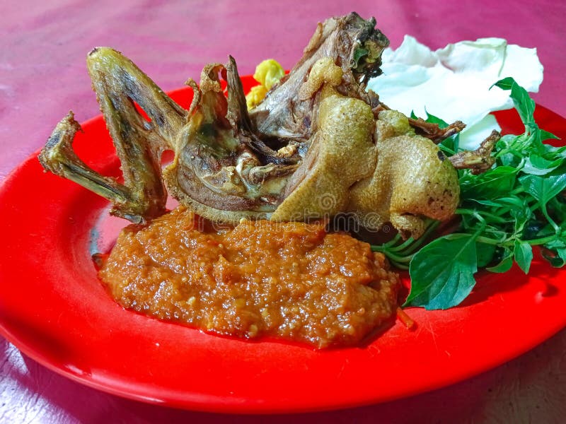 Stir-fried duck stock image. Image of food, ingredient - 276066603