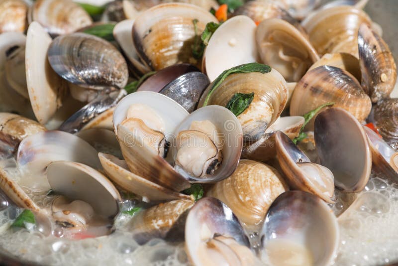 Stir Fried Enamel Venus Shell with Curry Paste Stock Image - Image of ...