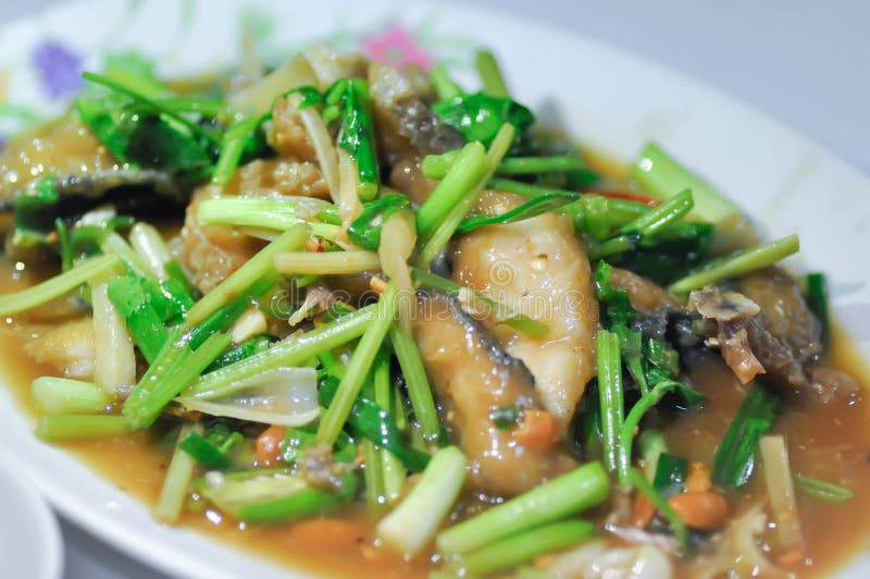 Stir-fried Fish with Vegetable Stock Photo - Image of chinese, sauce ...