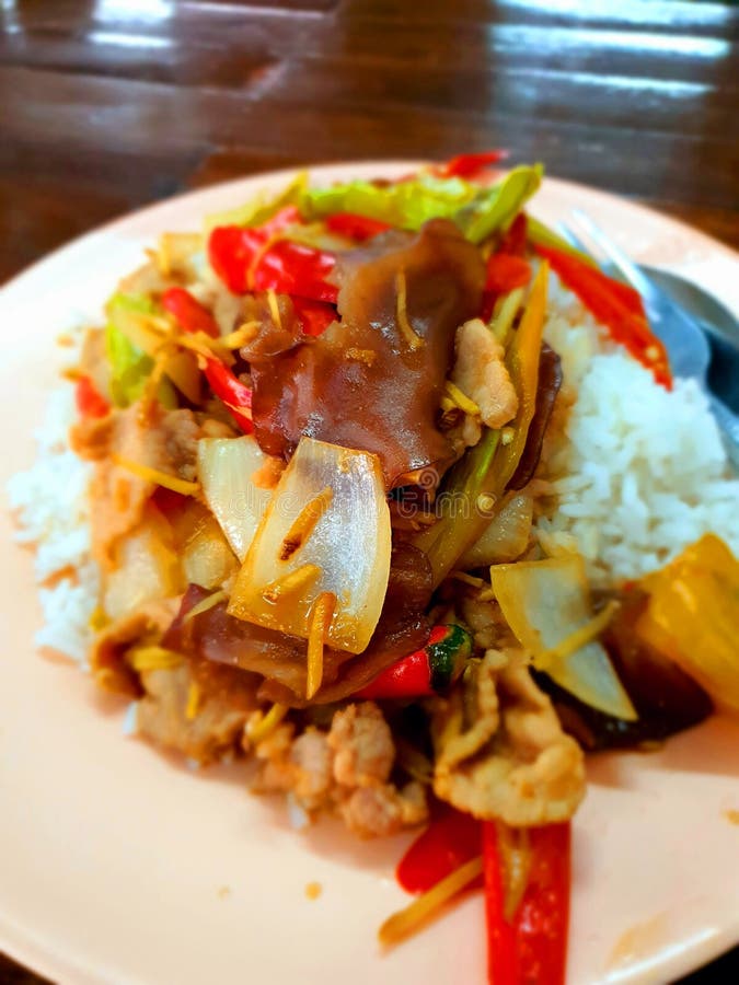 Stir Fried Pork with Ginger Over Rice Stock Image - Image of pork ...