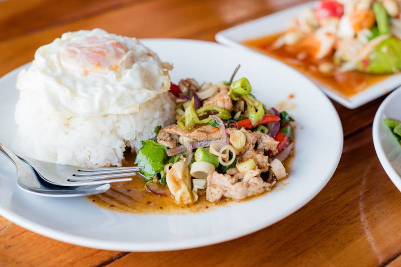 Stir-fried Pork and Herb with Rice or Stir-fried Jango, Thai Foo Stock ...