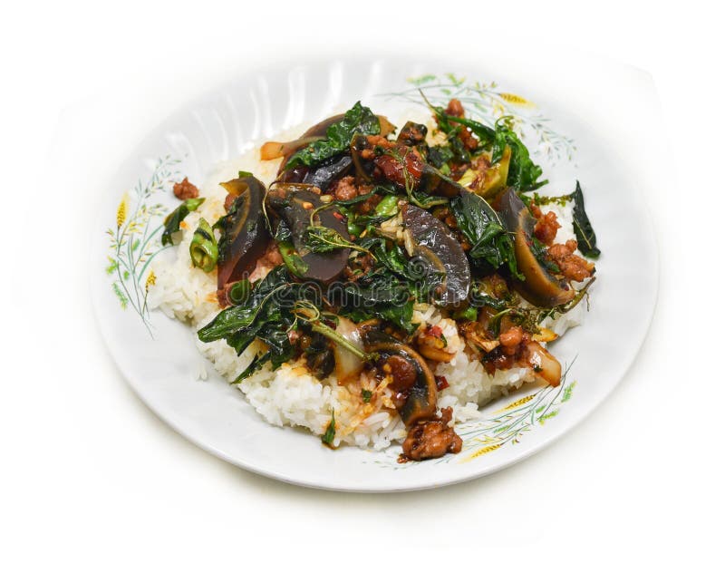 Stir Fried Pork holy basil stock photo. Image of lunch - 115013726