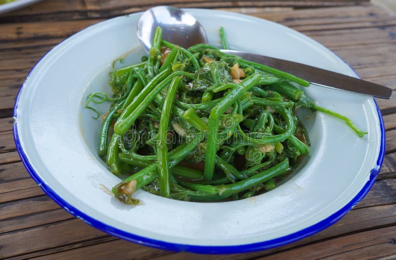 882 Sayote Stock Photos - Free & Royalty-Free Stock Photos from Dreamstime