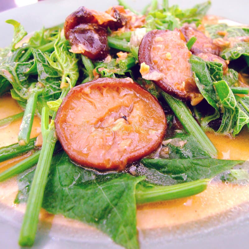 Stir Fried Shiitake Mushroom with Oyster Sauce Stock Image - Image of ...