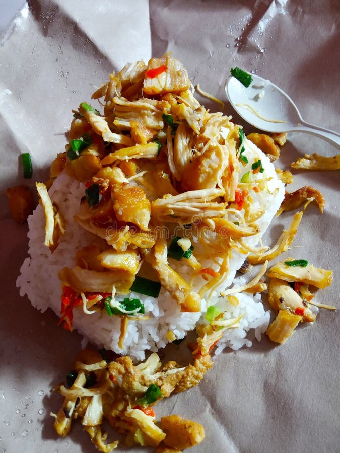 Stir-fried Shredded Chicken Served Over Warm Rice. Stock Image - Image ...