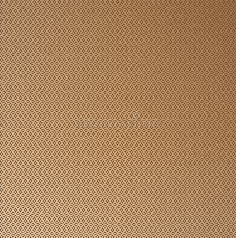 Nylon Stocking Mesh Grid Stock Illustrations – 18 Nylon Stocking Mesh ...