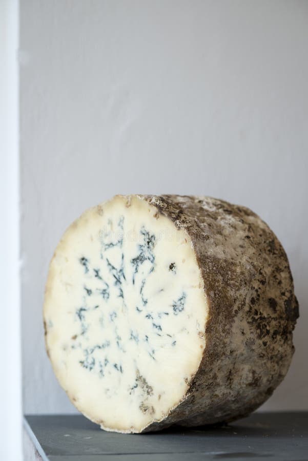 Stitchelton cheese stock image. Image of unpasteurised - 66488253