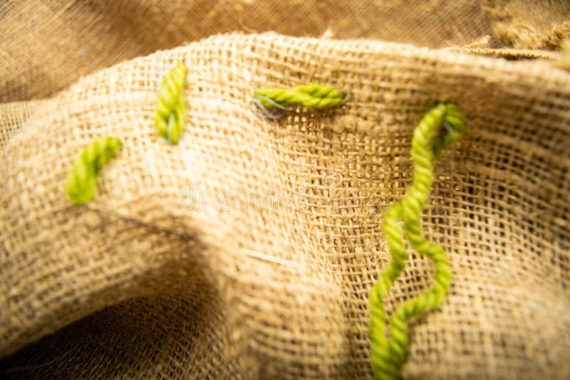 Stitches of Green Thread on the Burlap with a Rough Texture. Close Up ...