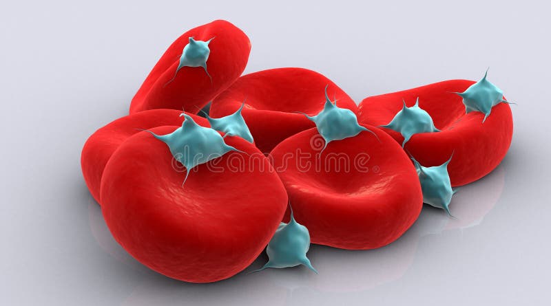 Conceptual Image of Platelets with Red Blood Cells. Stock Illustration ...