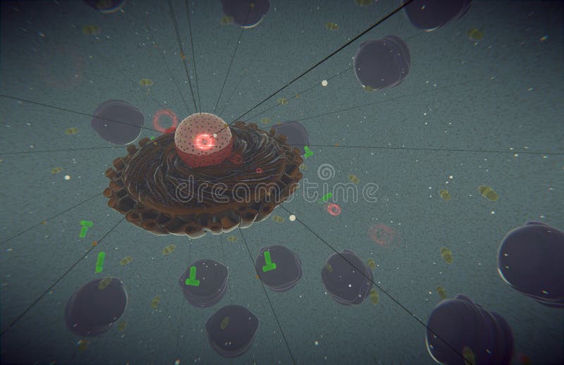 The Interior of an Eukaryotic Cell. Stock Illustration - Illustration ...