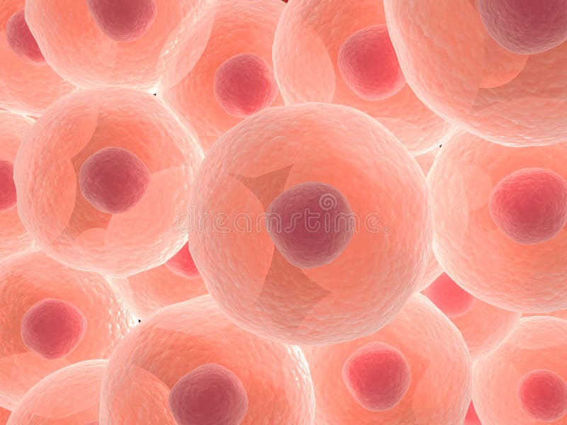 Microscopic View of Animal Cell. Stock Illustration - Illustration of ...