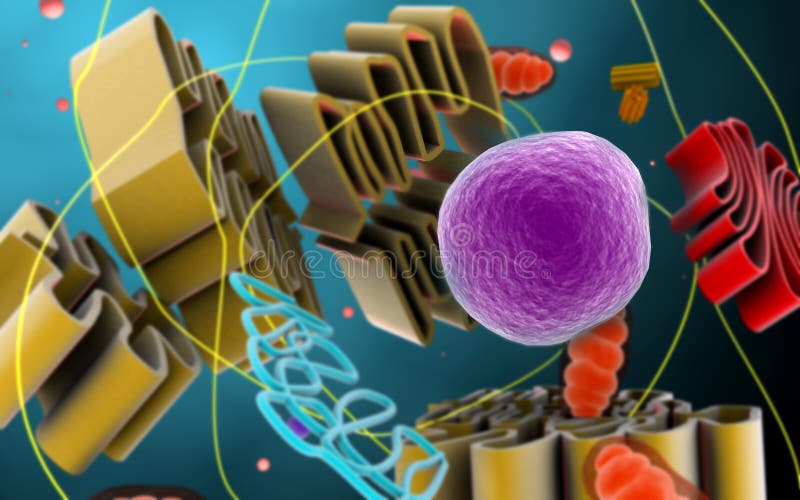 Microscopic View of Animal Cell Nucleus. Stock Illustration ...