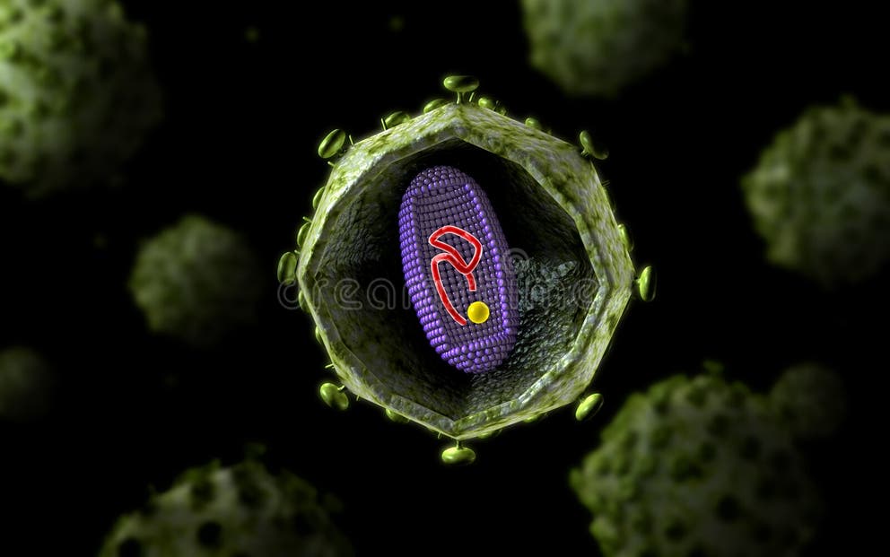 Microscopic View of HIV Virus, Cross Section. Stock Illustration ...