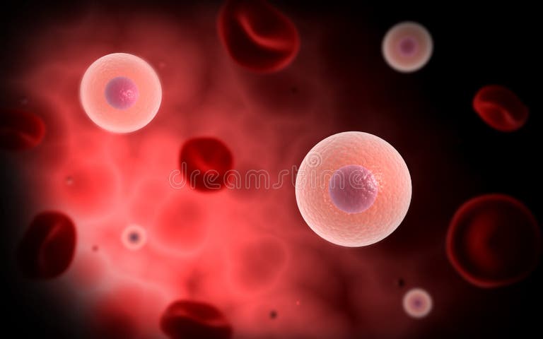 Microscopic View of Plasma Cell Inside Blood Vessel. Stock Illustration ...