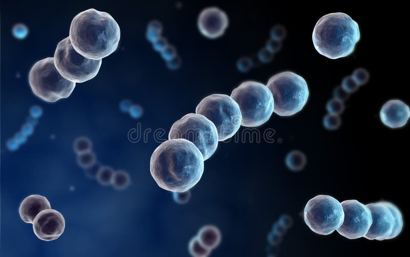 Microscopic View of Streptococcus. Stock Illustration - Illustration of ...
