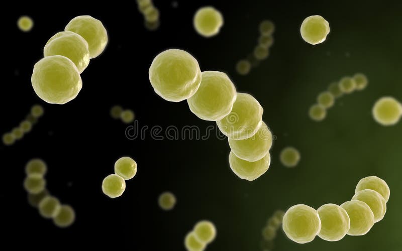 Microscopic View of Streptococcus. Stock Illustration - Illustration of ...