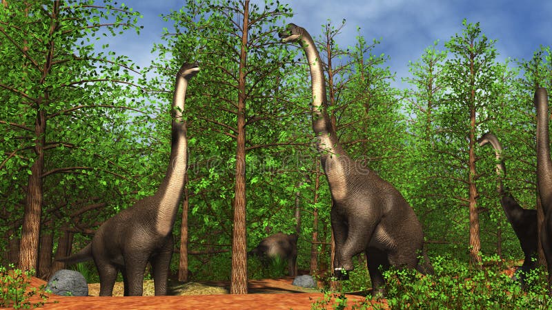 A Group of Brachiosaurus Dinosaurs Grazing on Tree Tops Stock ...