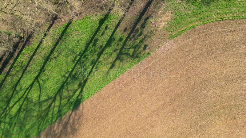 Aerial View of Dynamic Tree Shadows on Patchwork Countryside Stock ...