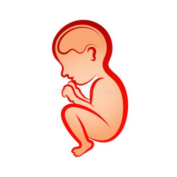 Brain Development Stock Illustrations – 79,737 Brain Development Stock ...