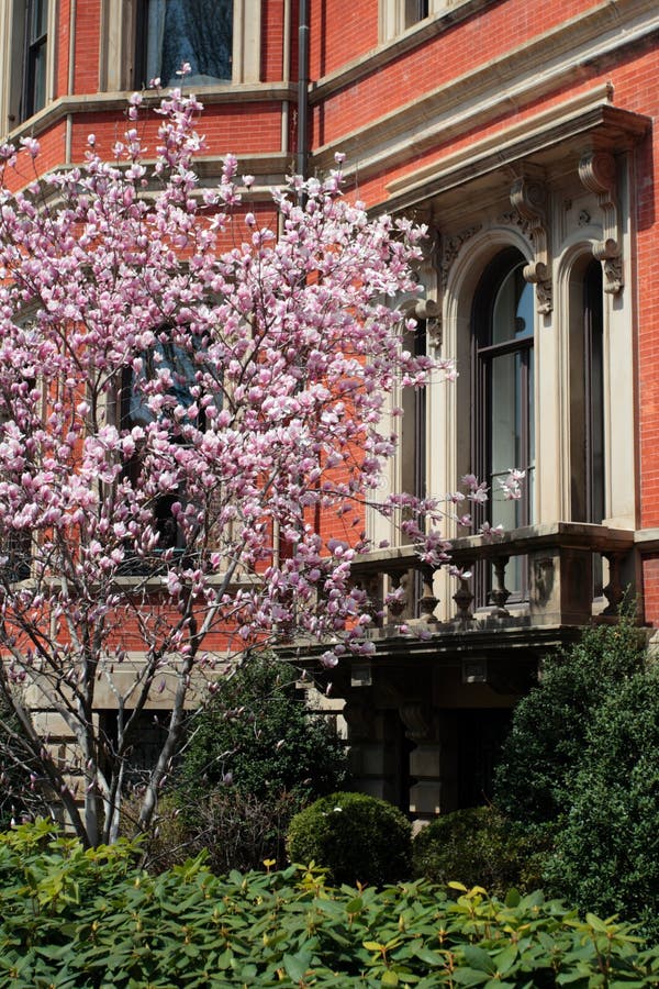 Back Bay, Boston stock photo. Image of square, sophisticated - 34084928