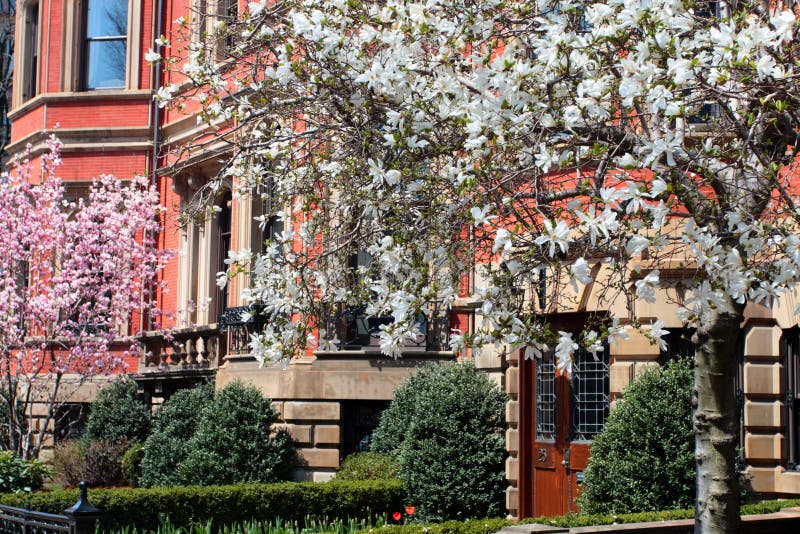 Stock Image of Back Bay, Boston Stock Image - Image of public, blue ...