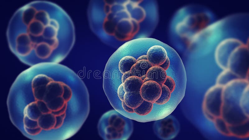 Cells Splitting Stock Illustrations – 34 Cells Splitting Stock ...