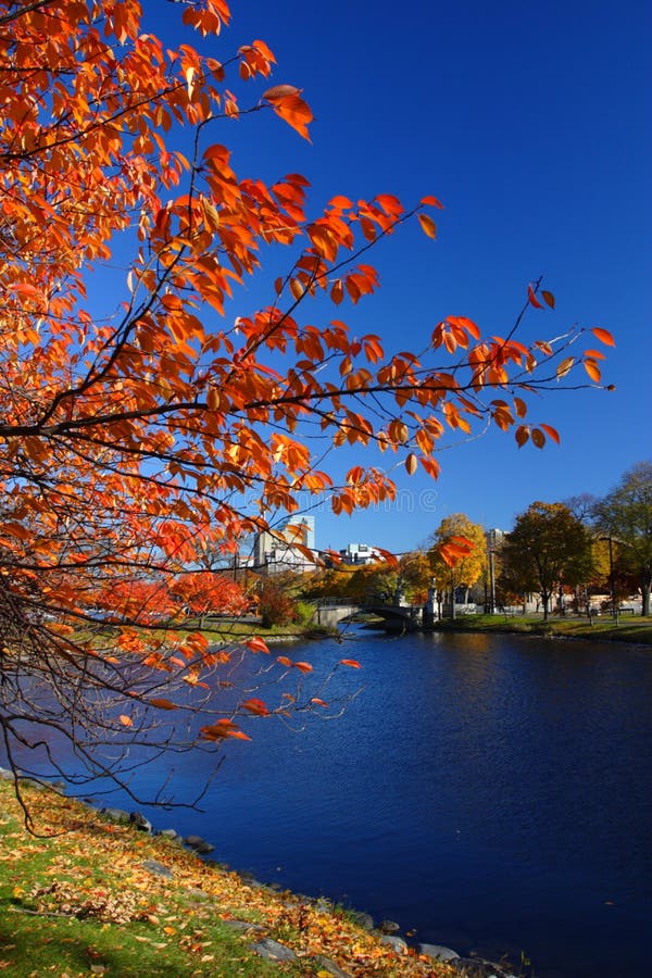 Stock Image of Fall Foliage at Boston Stock Photo - Image of lush ...