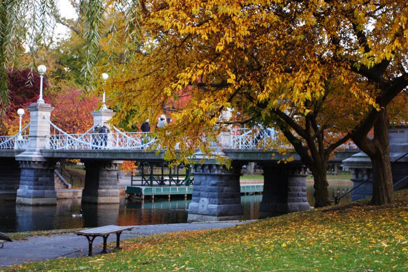Stock Image of Fall Foliage at Boston Public Garden Stock Image - Image ...