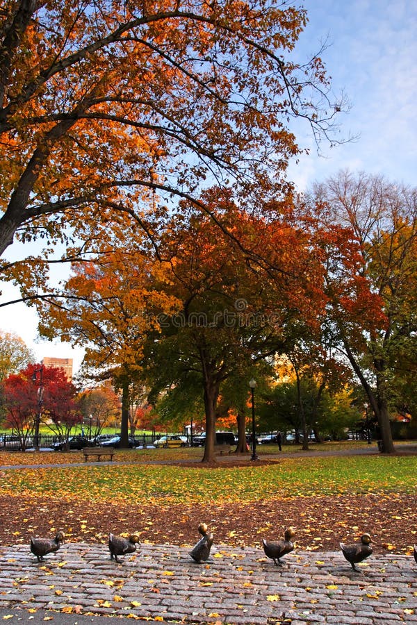 Stock Image Of Fall Foliage At Boston Public Garden Stock Image - Image ...
