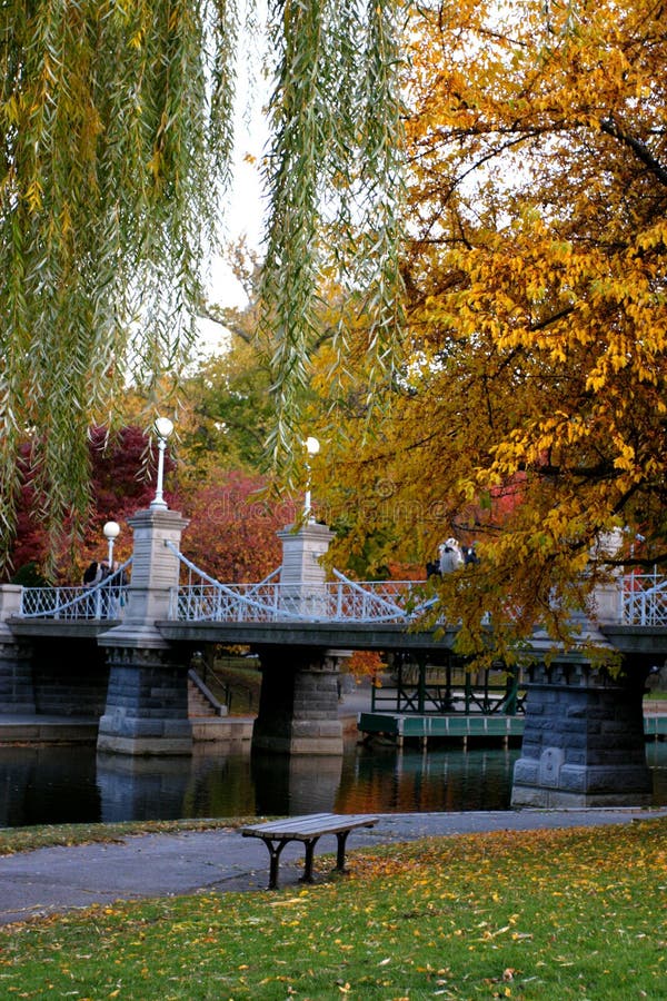 Stock Image of Fall Foliage at Boston Public Garden Stock Image - Image ...