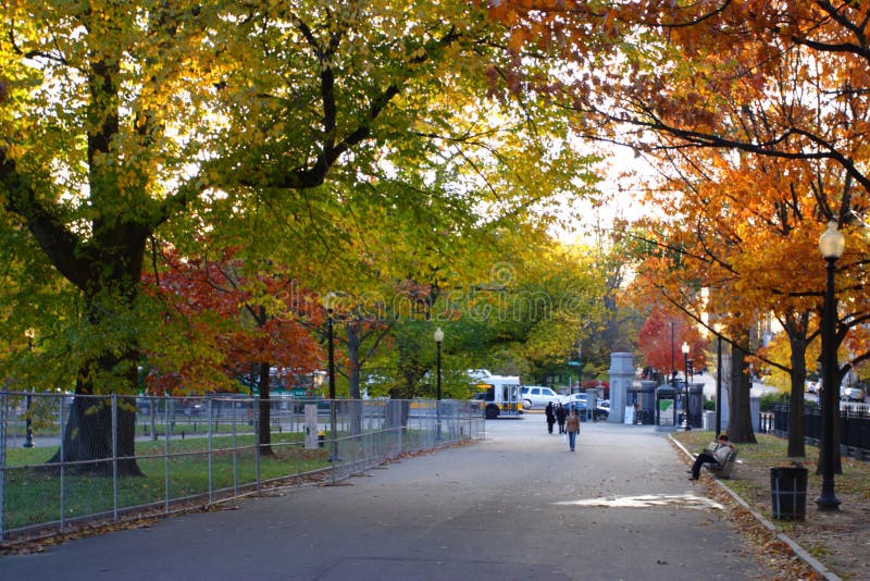 Stock Image of Fall Foliage at Boston Public Garden Stock Image - Image ...