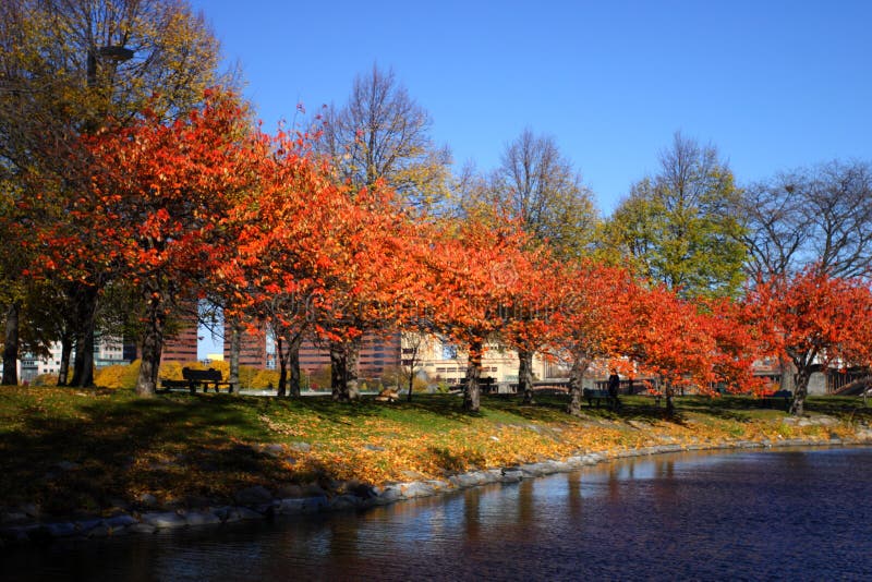 Stock Image of Fall Foliage at Boston Stock Photo - Image of orange ...