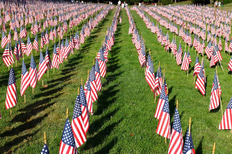 Stock Image of Field of American Flags Stock Photo - Image of freedom ...