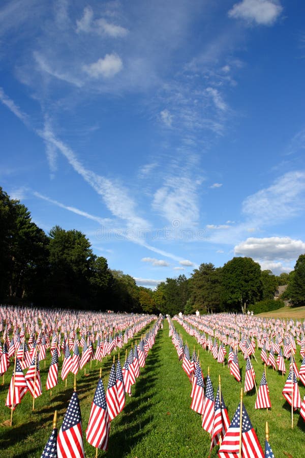 Stock Image of Field of American Flags Stock Photo - Image of american ...