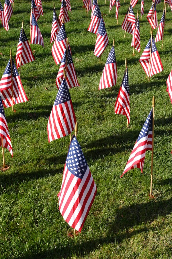 Stock Image of Field of American Flags Stock Photo - Image of soldier ...