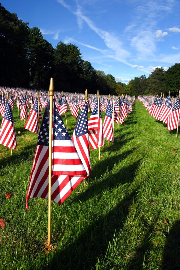 Stock Image of Field of American Flags Stock Image - Image of tribute ...