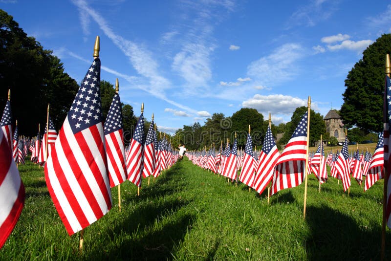 Stock Image of Field of American Flags Stock Image - Image of memorial ...