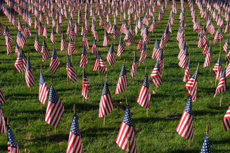 Stock Image of Field of American Flags Stock Image - Image of tribute ...