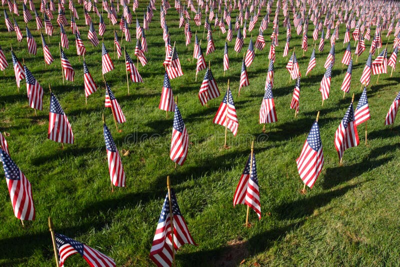 Stock Image of Field of American Flags Stock Image - Image of armed ...