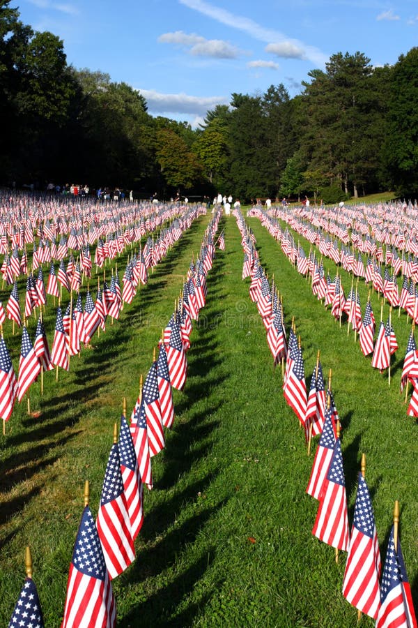 Stock Image of Field of American Flags Stock Photo - Image of american ...