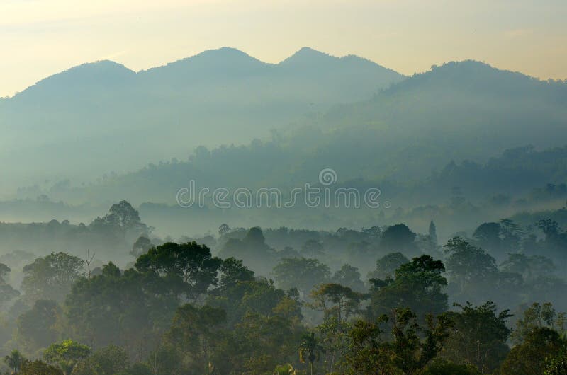 Stock Image of Foggy Mountain in the Morning Stock Image - Image of ...