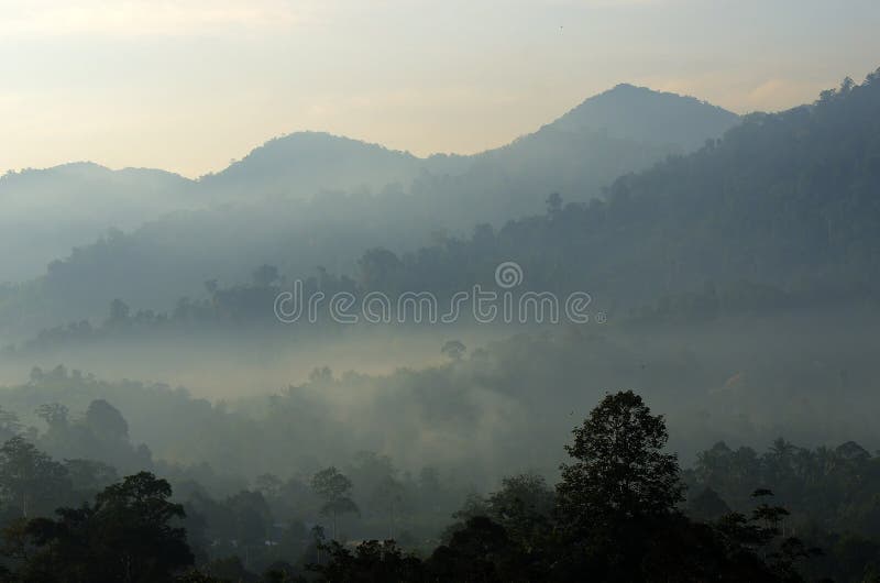Stock Image of Foggy Mountain in the Morning Stock Photo - Image of ...