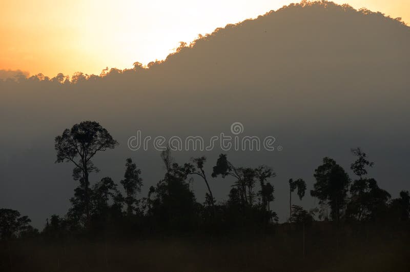 Stock Image of Foggy Mountain in the Morning Stock Photo - Image of ...