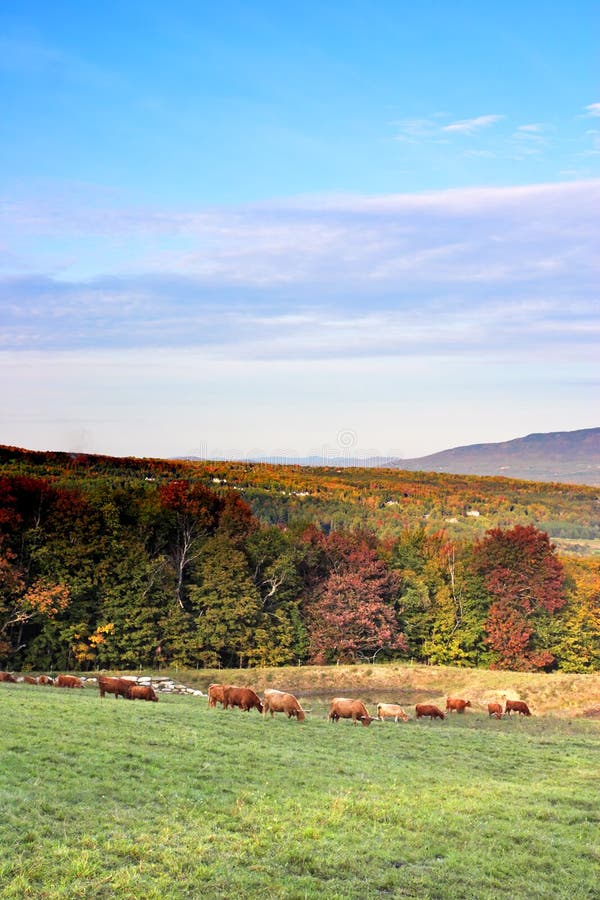 Stock Image of Vermont Countryside, USA Stock Image - Image of hills ...