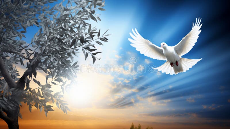 Peaceful Dove in Flight at Sunrise: Nature S Beauty Unfolds Stock ...