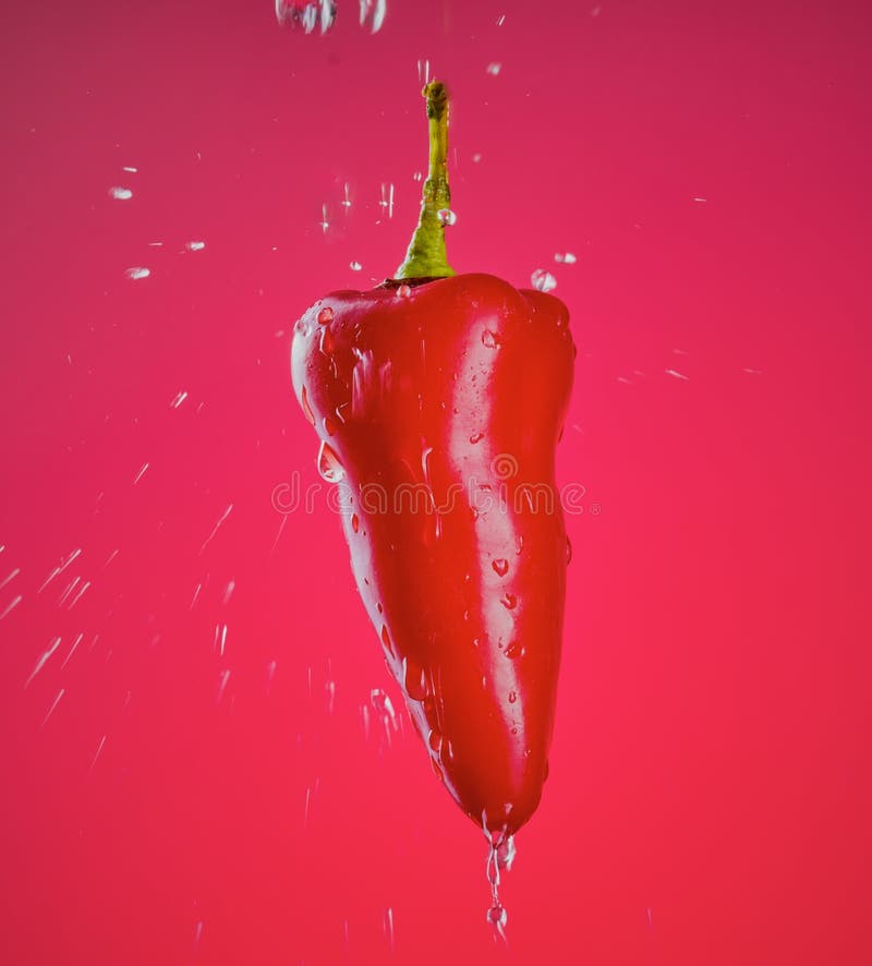 Flying Mexican chilli. stock image. Image of splashe - 226533511